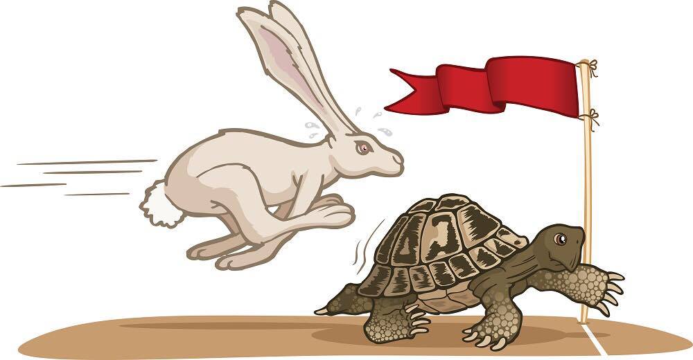 Tortoise and Hare Challenge 2017 - Virtual Runner
